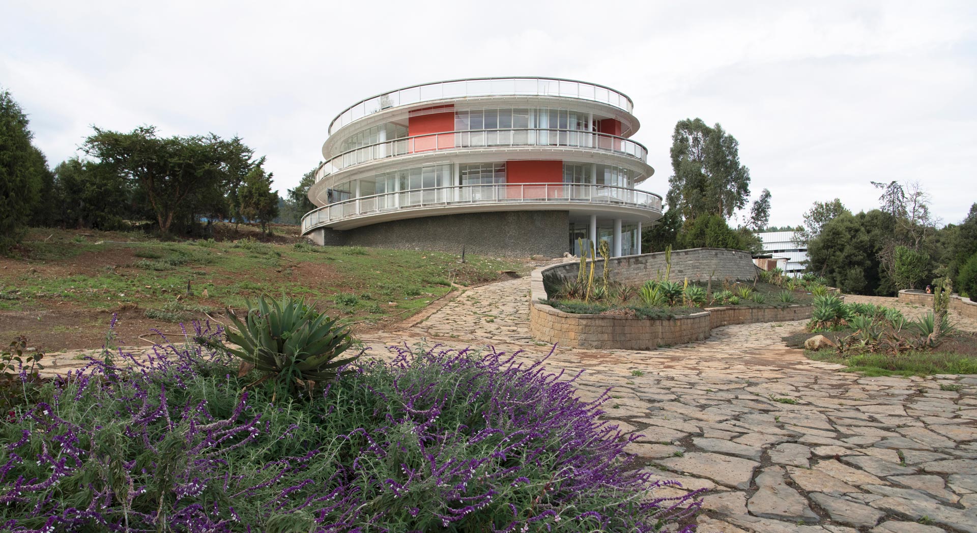 Meles Zenawi Memorial Park | Transsolar | KlimaEngineering