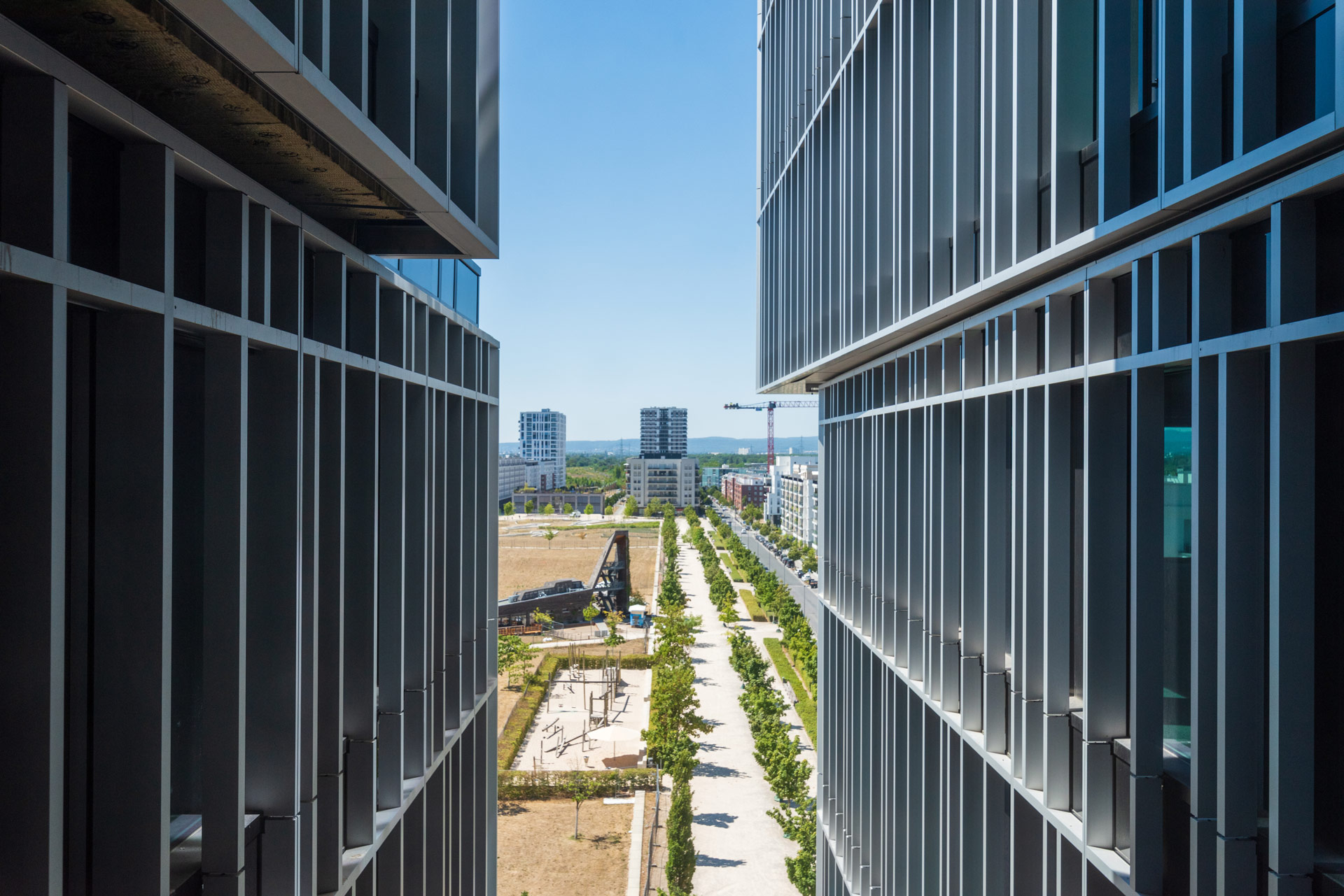 F.A.Z. Tower | Transsolar | KlimaEngineering