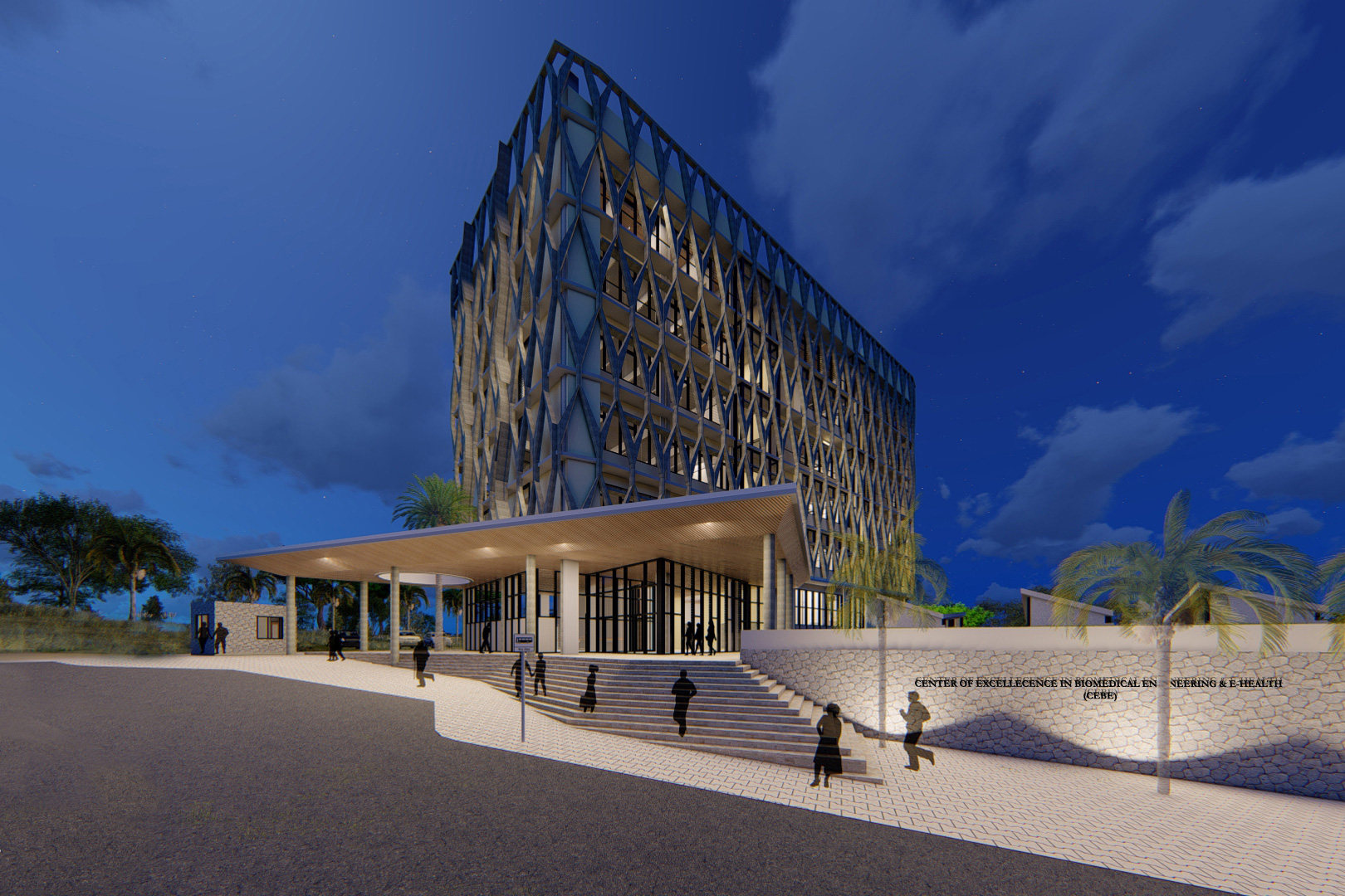Regional Centre of Excellence in Biomedical Engineering and eHealth ...