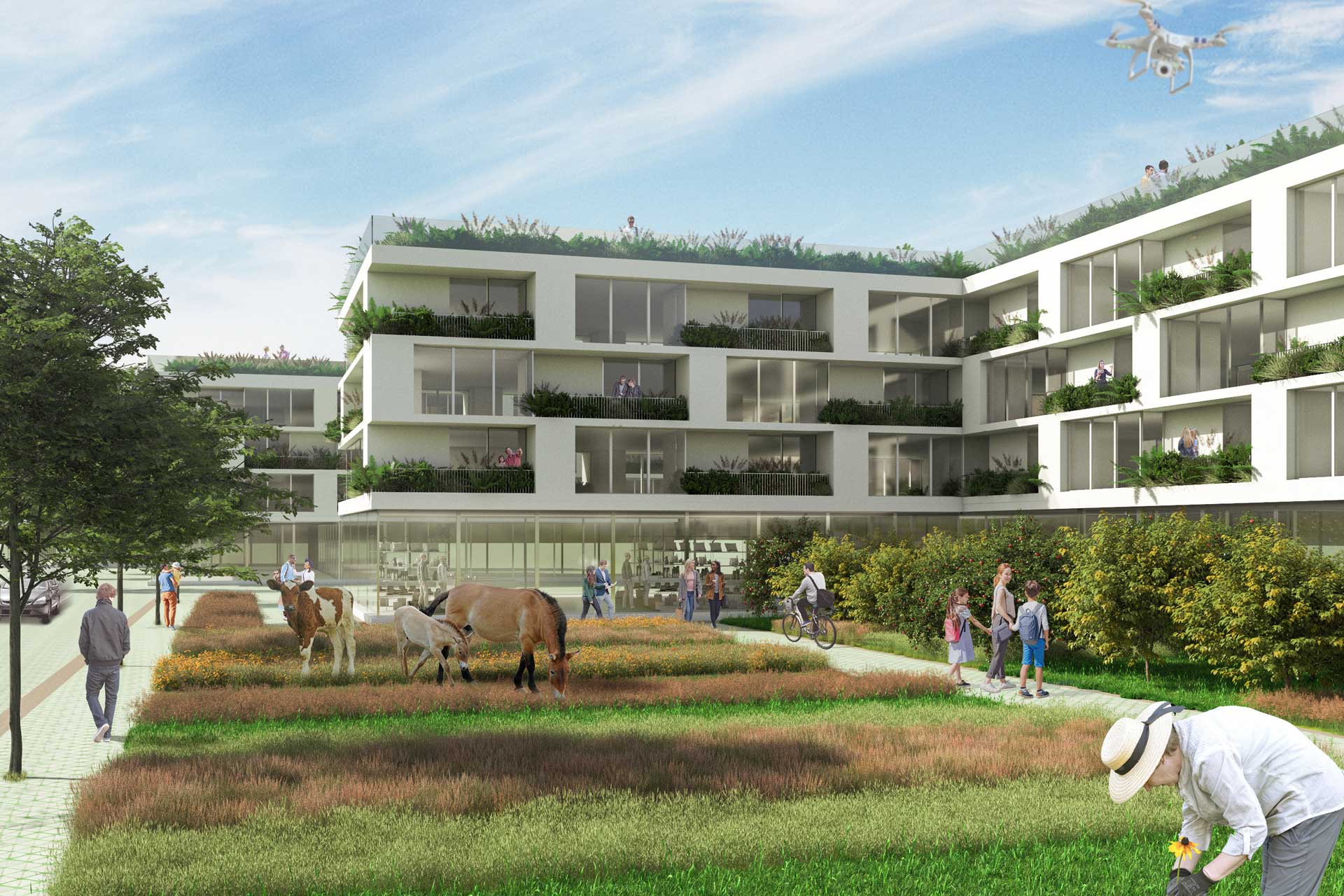 Plan directeur Tirana 2030 Riverside | Transsolar | KlimaEngineering