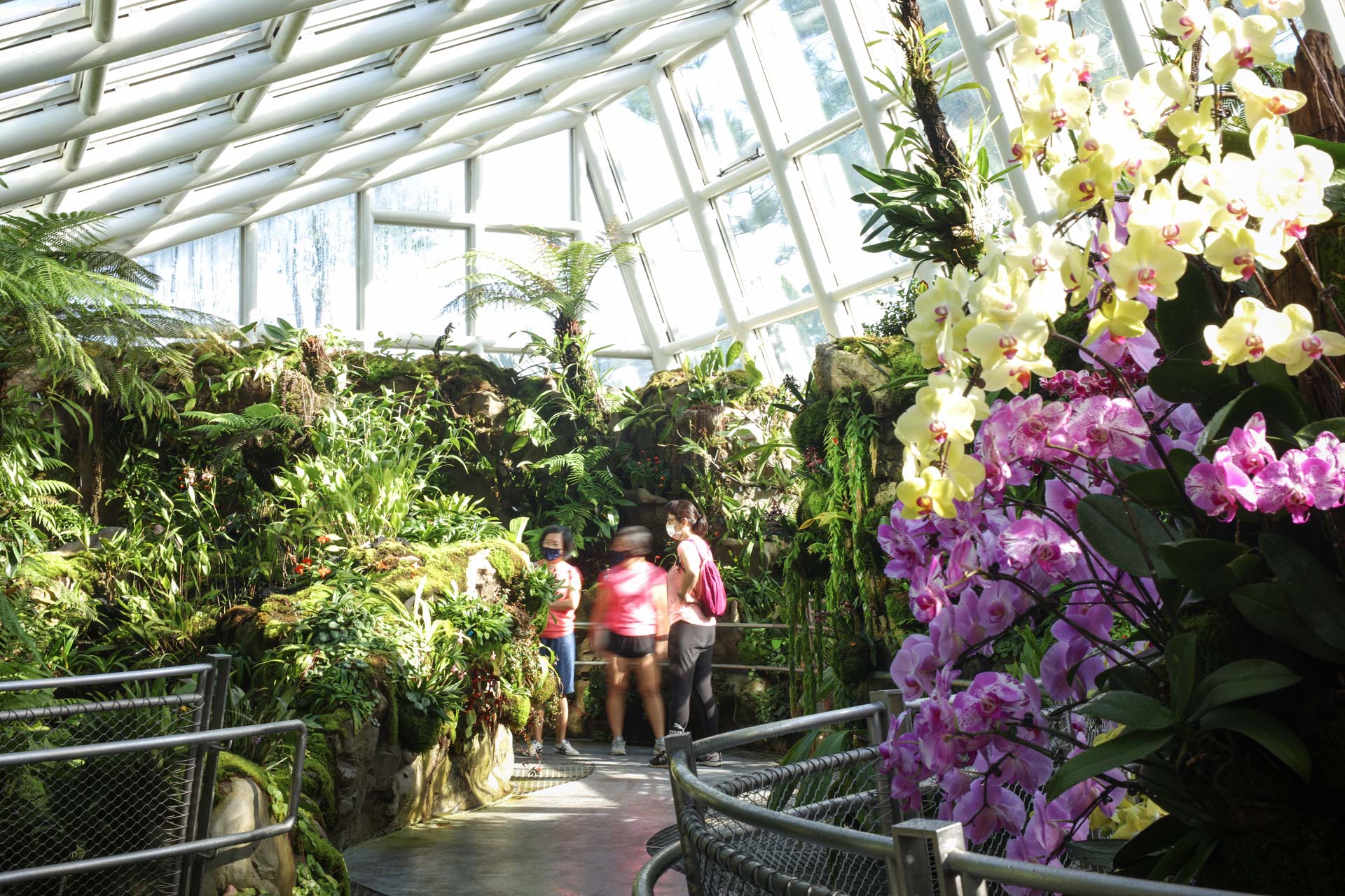 Cool House at the National Orchid Garden | Transsolar | KlimaEngineering
