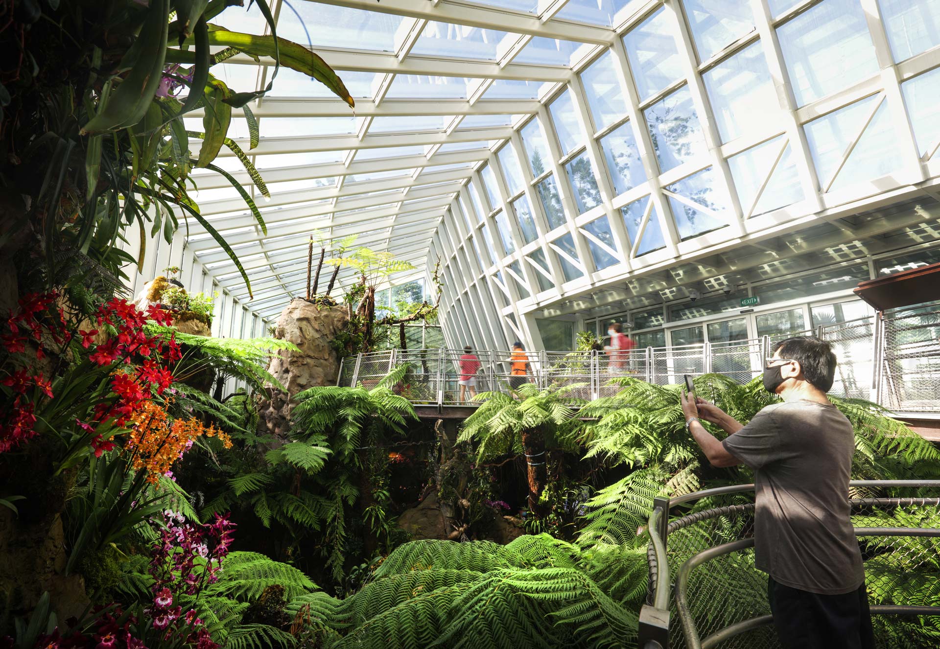 Cool House at the National Orchid Garden | Transsolar | KlimaEngineering