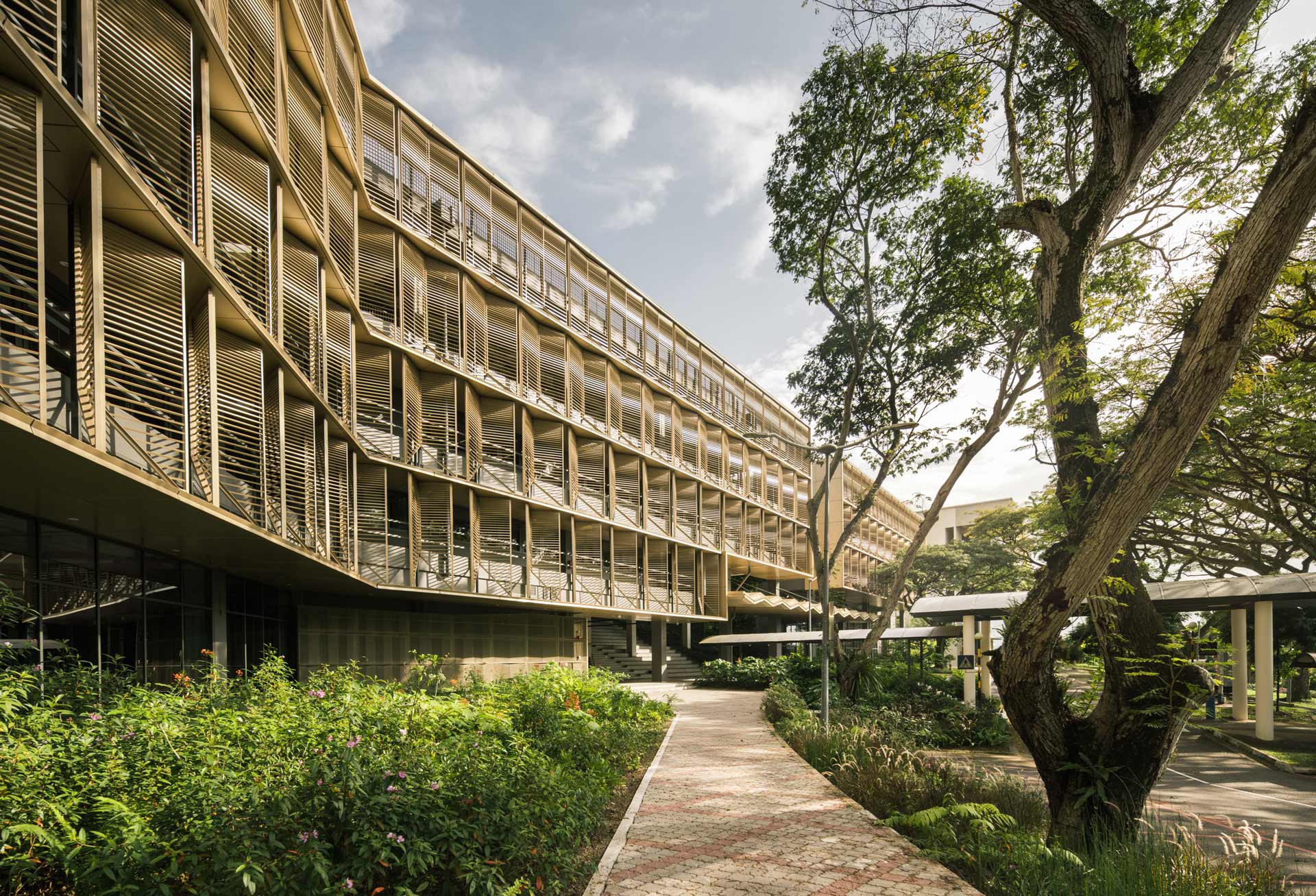 Carbon Transformations at the Equator - NUS SDE 1 & 3 | Transsolar ...