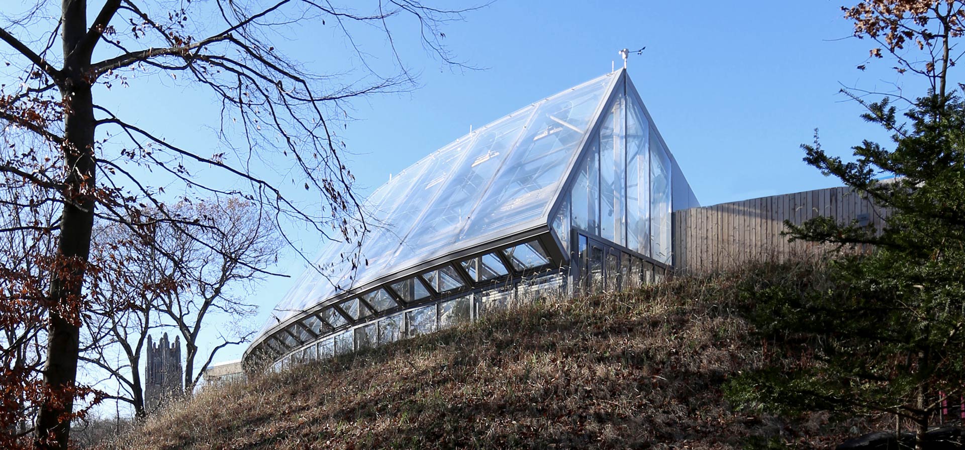 Global Flora Margaret Ferguson Greenhouses | Transsolar | KlimaEngineering