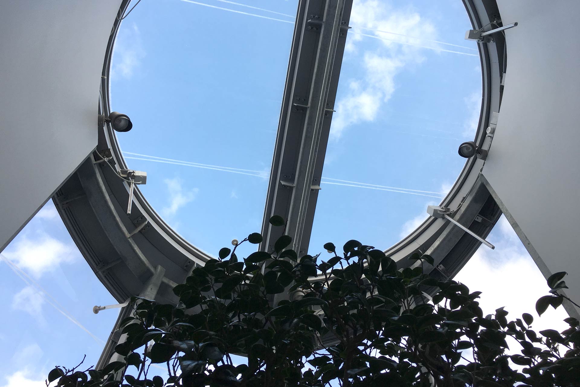 Global Flora Margaret Ferguson Greenhouses | Transsolar | KlimaEngineering