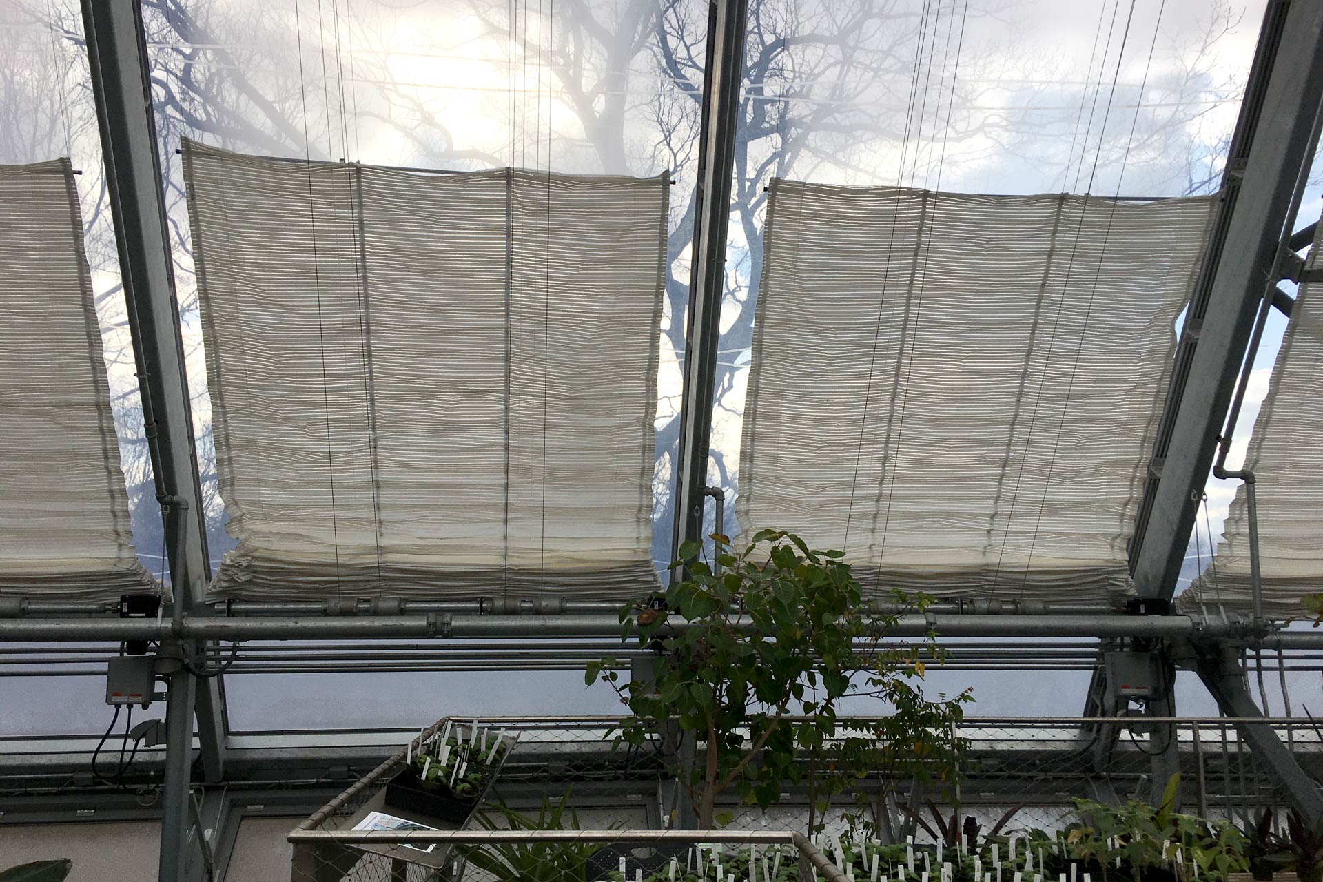 Global Flora Margaret Ferguson Greenhouses | Transsolar | KlimaEngineering